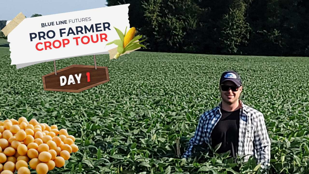 A recap of what we found on day 1 of the Pro Farmer Crop Tour - Blue ...