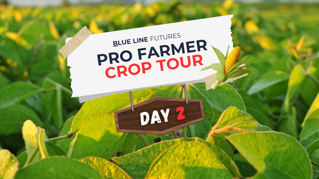 Day Two of the Pro Farmer Crop Tour is in the books - Blue Line Futures
