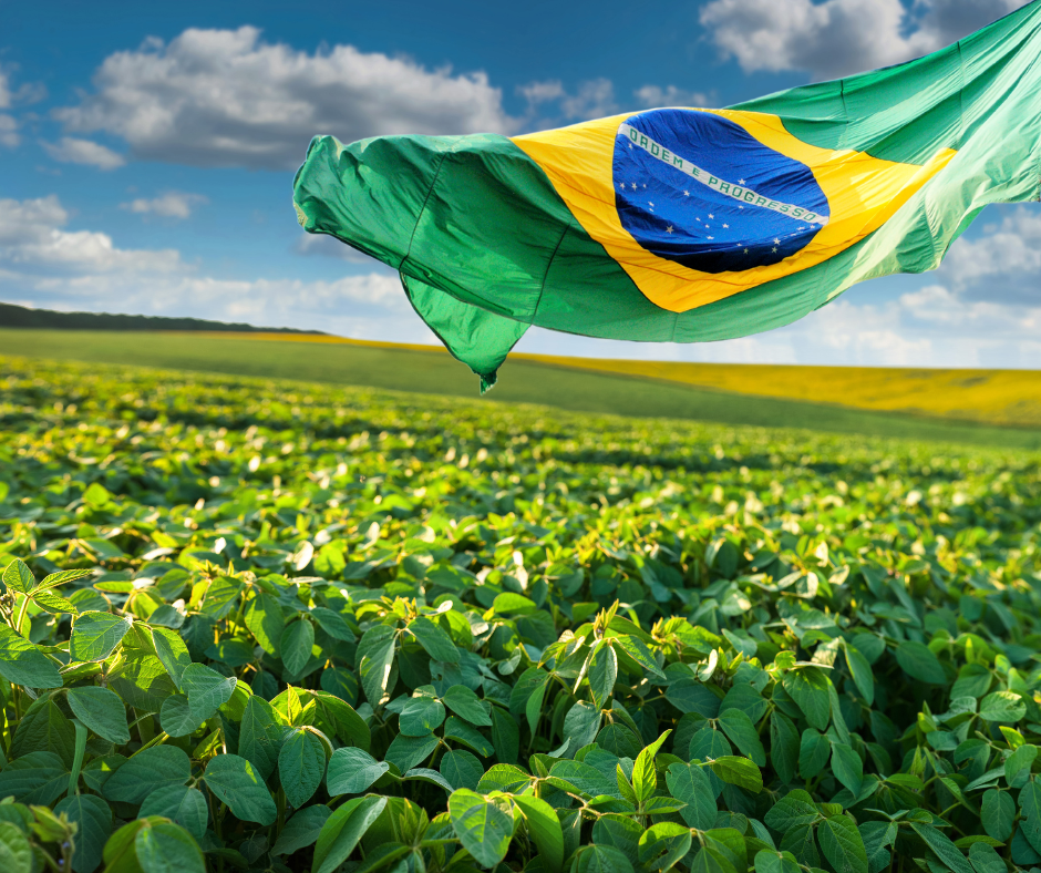 Brazil Crop Production Preview - Blue Line Futures