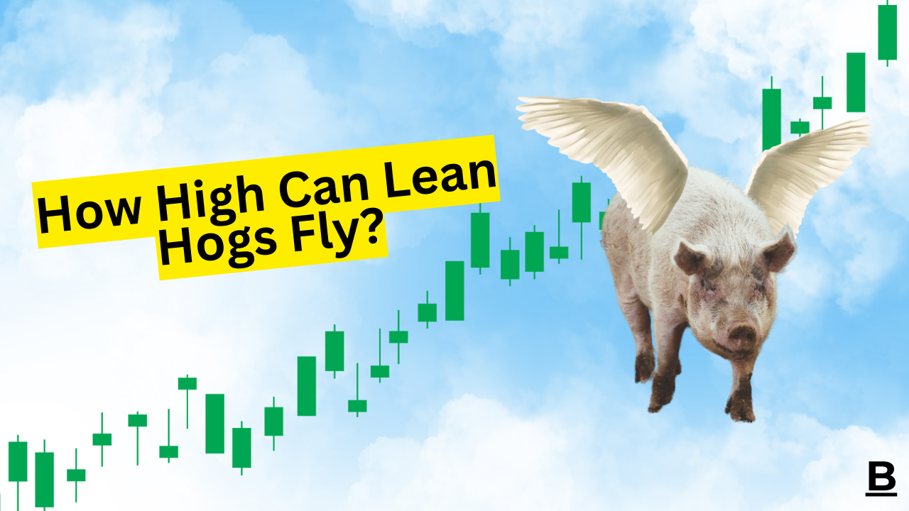 How High Can Lean Hogs Fly? - Blue Line Futures