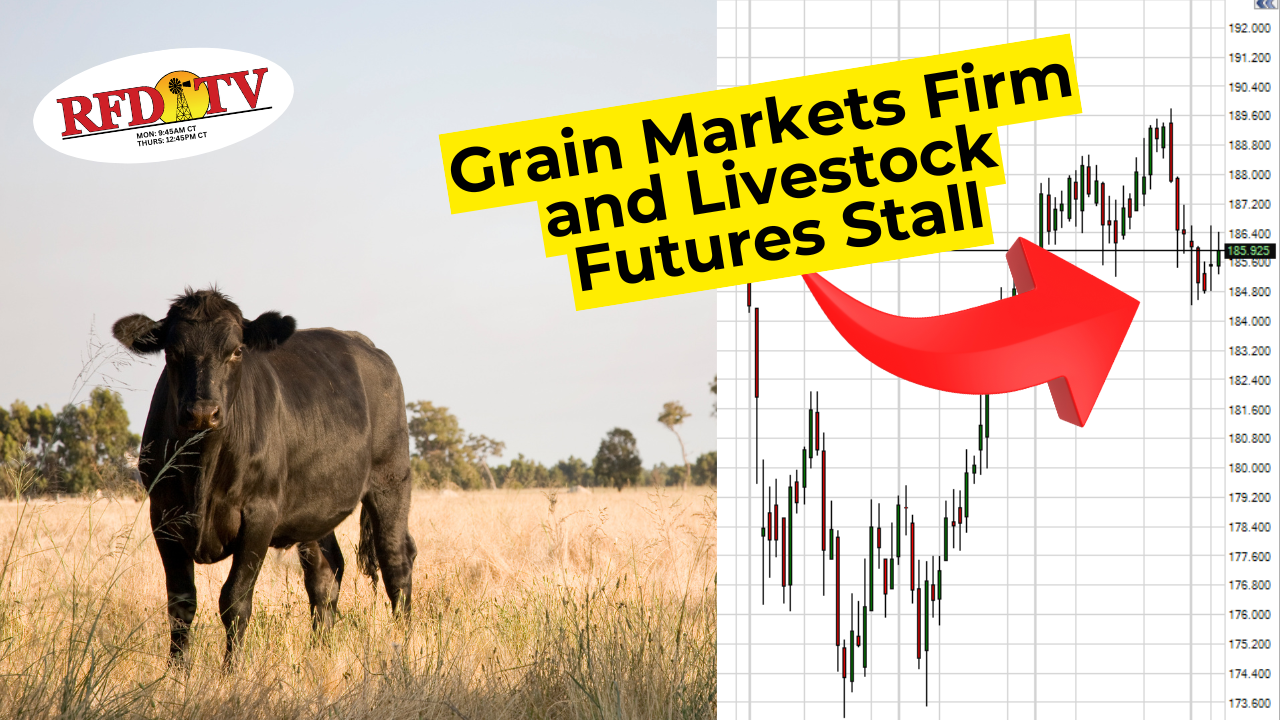 Grain Markets Firm and Livestock Futures Stall - Blue Line Futures