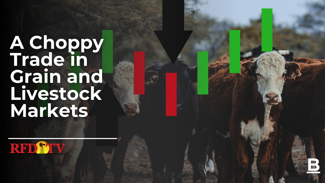 A Choppy Trade in Grain and Livestock Markets - Blue Line Futures