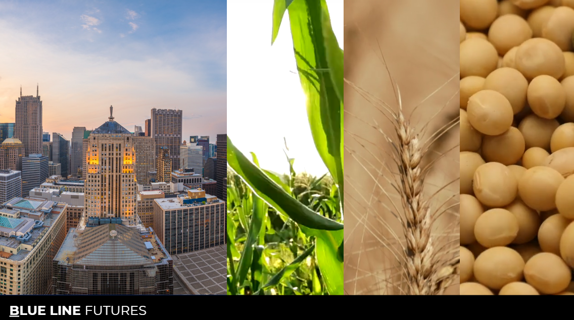 This Week at the Chicago Board of Trade: Your Update on the Commodity Markets! - Blue Line Futures