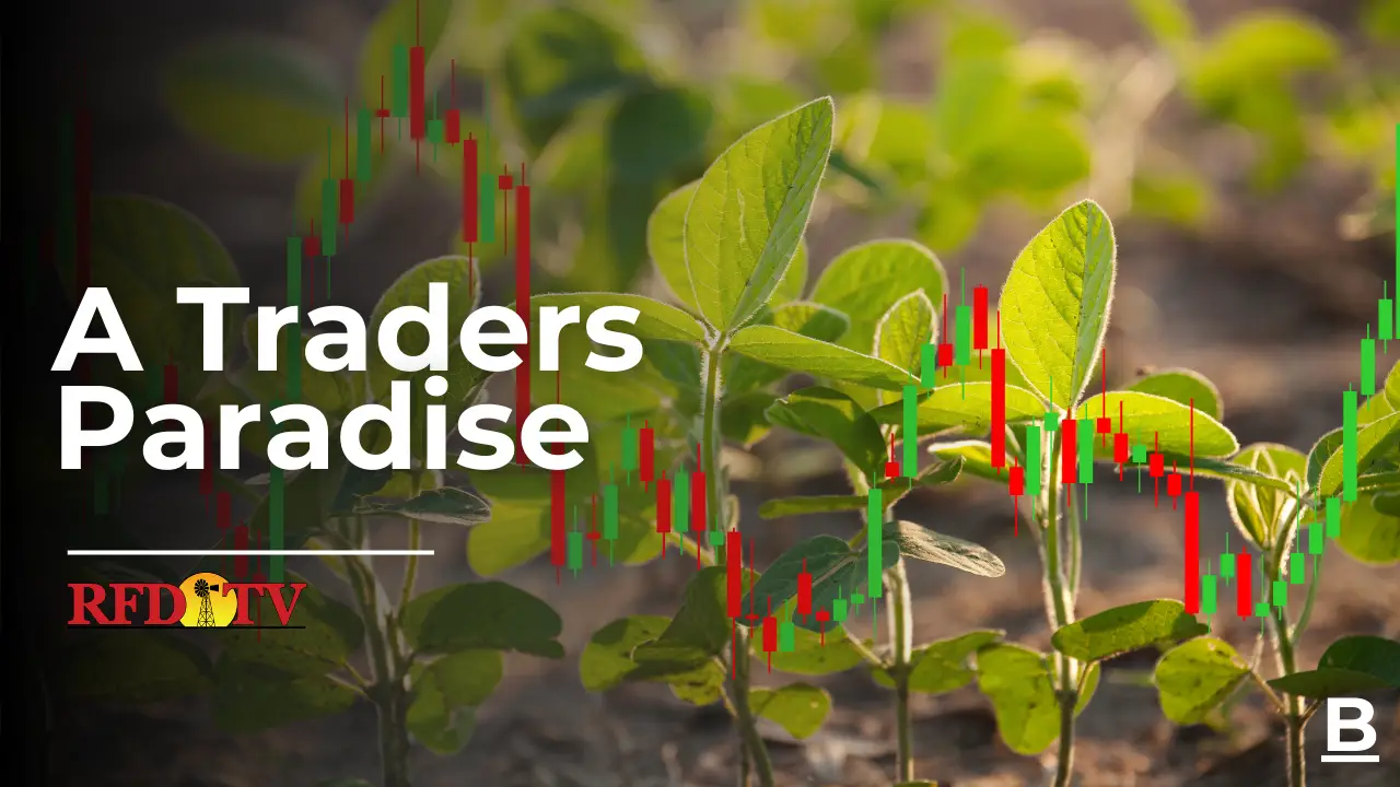 A Traders Paradise - Blue Line Futures