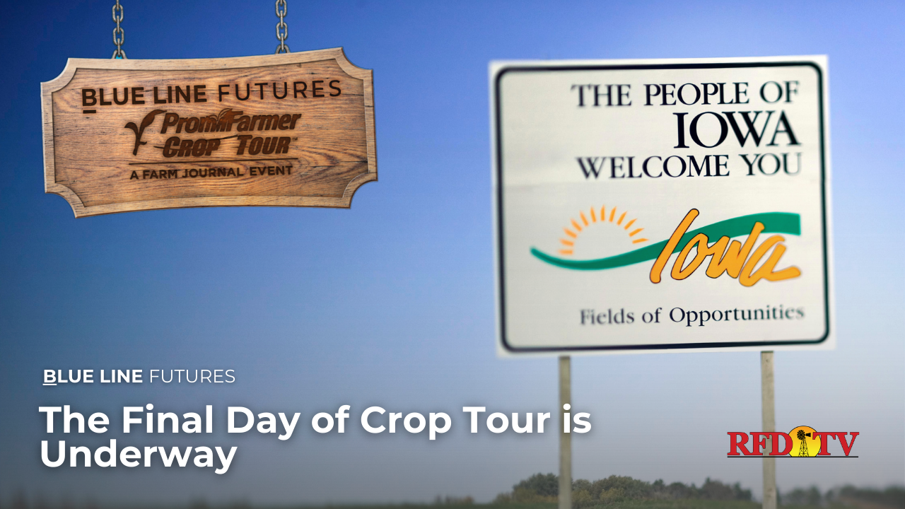 The Final Day of Crop Tour is Underway - Blue Line Futures