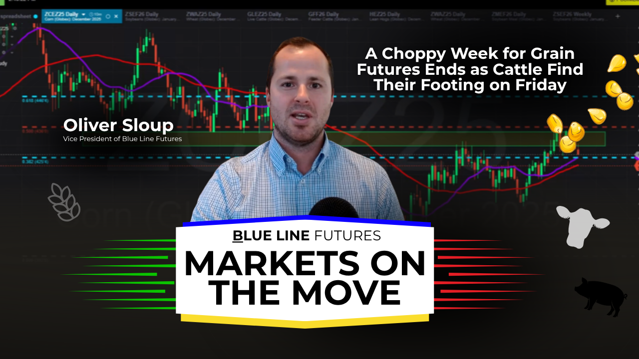 A Choppy Week for Grain Futures Ends as Cattle Find Their Footing on ...
