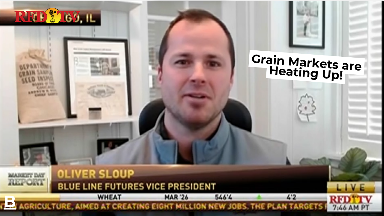 Grain Markets are Heating Up - Blue Line Futures