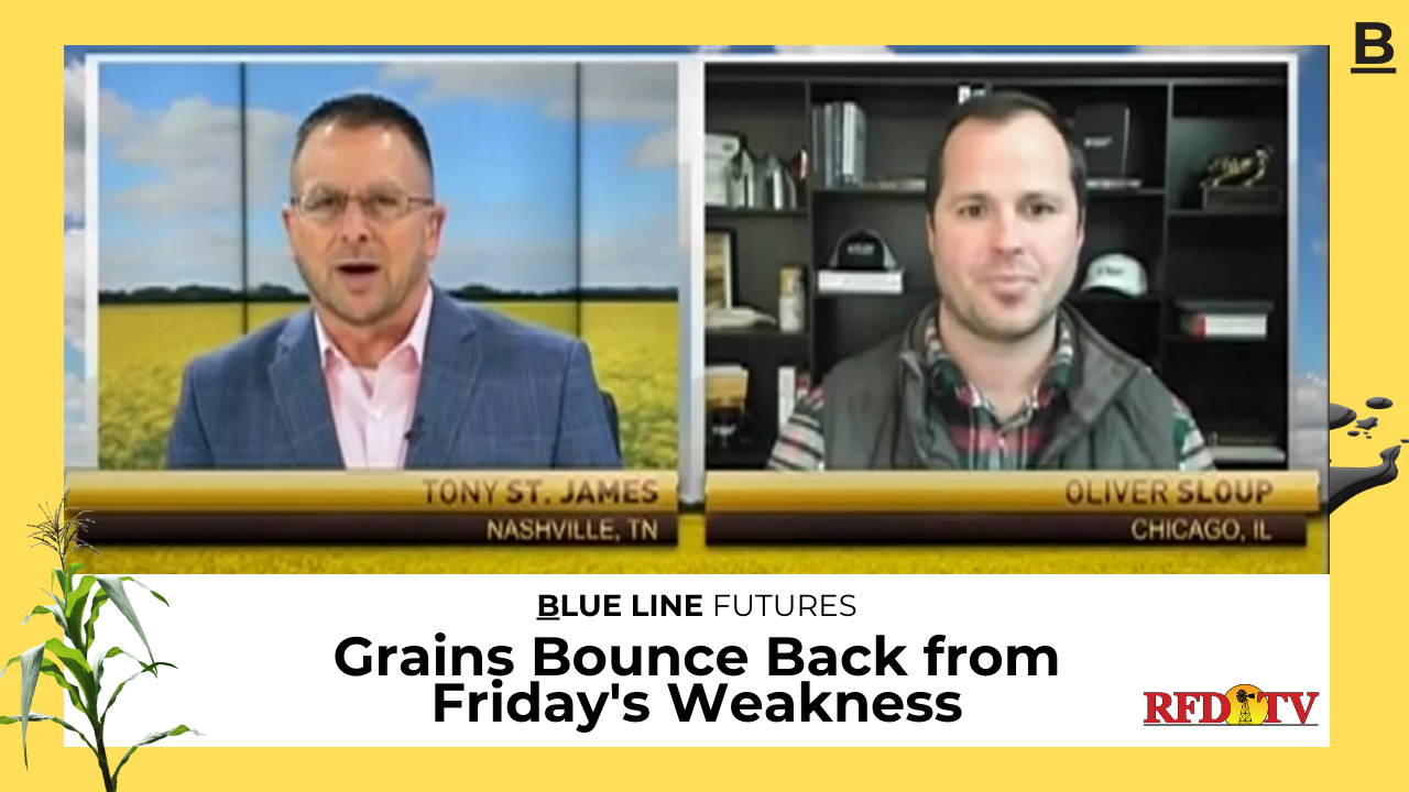 Grains Bounce Back from Friday's Weakness Ft. Oliver Sloup - Blue Line ...