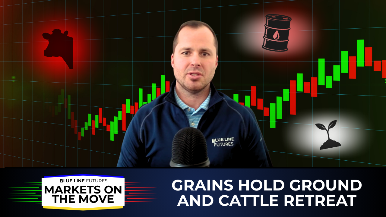 Grains Hold Ground and Cattle Retreat - Blue Line Futures